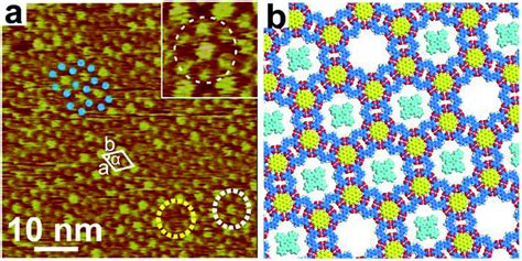 Stm Images And Proposed Model For The Tpta Cor Cupc Host Guest Download Scientific Diagram