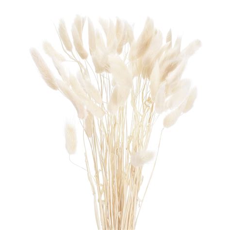 Uxcell 60pcs Natural Rabbit Bunny Tails Dried Flowers 17 Mini Pampas