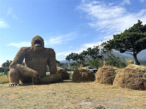 花蓮 第五屆【富里稻草藝術季】20多組精彩創作，萌翻療癒極了！展期至2024430止 美食旅遊 Udn 女子漾