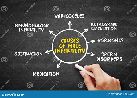 Causes Of Male Infertility Mind Map Text Concept For Presentations And
