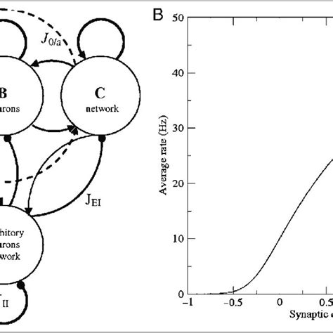 A Architecture Of The Excitatory Inhibitory Network Excitatory