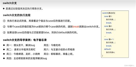 程序流程控制：if Switch分支结构：程序流程 Switch Csdn博客