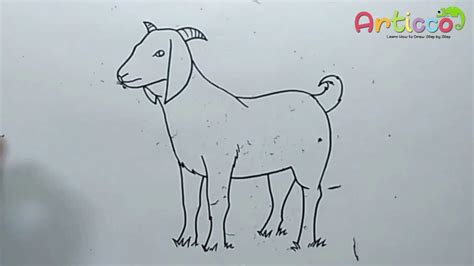 Как нарисовать рогатую козу просто Рисуем вместе обычным карандашом Ravlyk