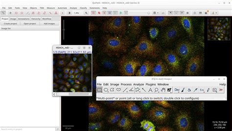 Embedding Fiji Inside Qupath Development Imagesc Forum