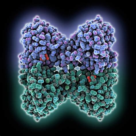 Glutathione Peroxidase Reaction Glutathione Reductase Activity Kit