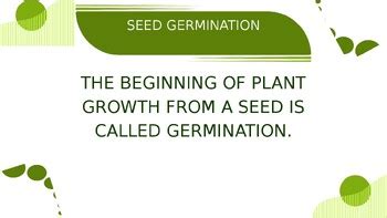 Seed Germination Lab PowerPoint By Agriculture With Ms Babeer TPT