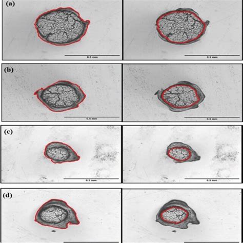 The Epoxy Resin Embedding Method A Flax Fiber Bundles Were Embedded In