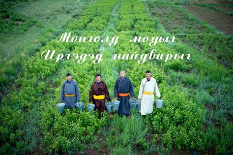 Ногоон Ази сүлжээ ТББ Home