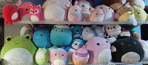 Squishmallow Collection R Squishmallow