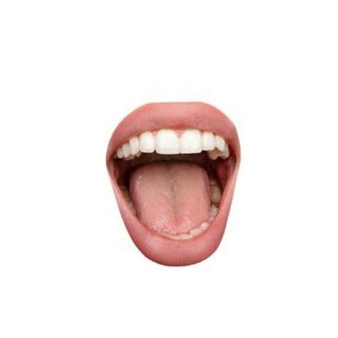 Stream Dj Mouth Music Listen To Songs Albums Playlists For Free On SoundCloud