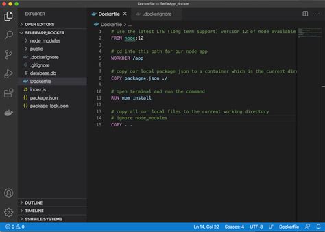 Dockerizing My Nodejs Selfie App In 30 Minutes By Li Ting Liao Li