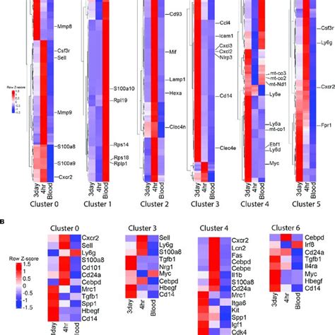 Single Cell RNA Sequencing Cluster Evaluation A Heat Map Of The Download Scientific