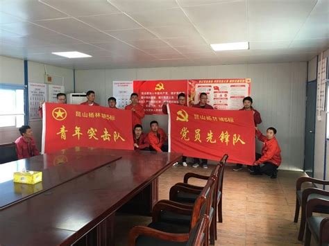 杨林塘5标成立党员先锋队青年突击队 江苏省交通工程集团有限公司