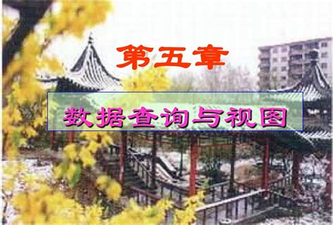 《数据库》第五章查询word文档在线阅读与下载无忧文档