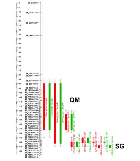 The Physical Positions Of The Qtl Detected On Chromosome 6 In All