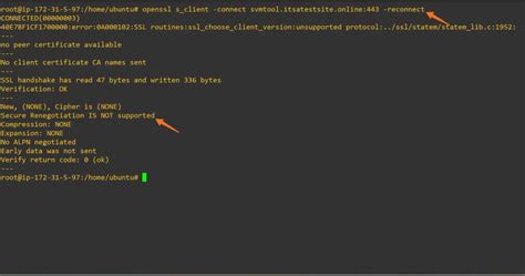 What Is The Tls Protocol Session Renegotiation Security Vulnerability