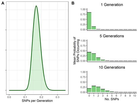Probability Distributions Of The Mean Per Generation Substitution Rate