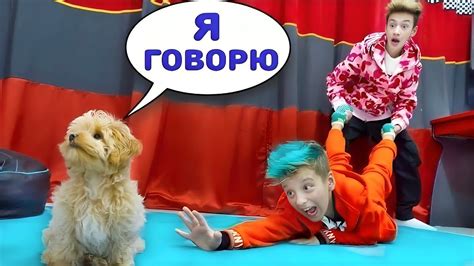 Собака СТАЛА РЕБЕНКОМ в Нашем Доме Папа ХОЧЕТ её ВЫГНАТЬ Youtube