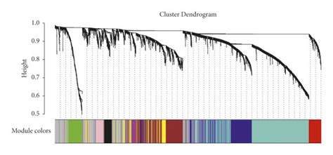 Identification Of The Modules Associated With The Clinical Features Of