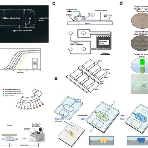 The Necessary Steps For The Combination Of LAMP With Microfluidics An Download Scientific