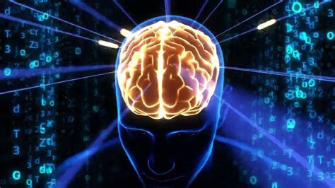 Brain Healing Music Healing Music Binaural Beats Meditation Yoga