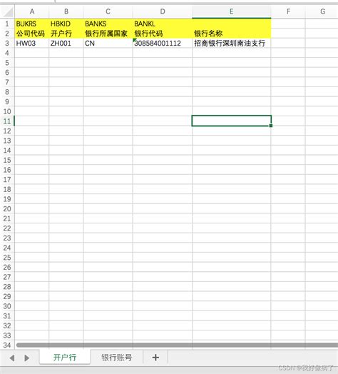 sap s 4 fico批量创建银行主数据 银行主数据 账户主数据 nwbc 开发说明书（包括测试样例、程序代码仅作参考，不保证一定可以运行