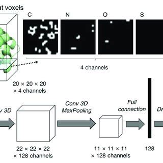 CNN Model Used In The Present Study A A Schematic Diagram Of Input Download Scientific