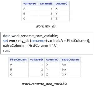 How To Rename Variables In SAS SAS Example Code