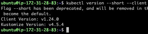 Devsecops And Cloud Computing Coaching Install Kubectl On Ubuntu