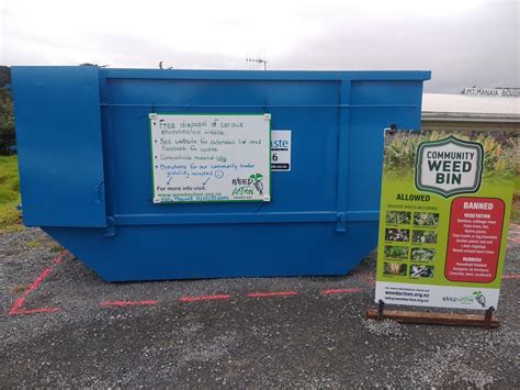 Free Invasive Weed Disposal Community Weed Amnesty Weed Action