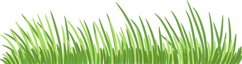 Grass Png Graphic Clipart Design 19152812 Png