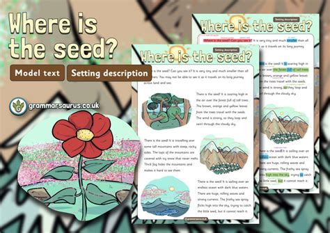 Year 1 Model Text Setting Description Where Is The Seed Grammarsaurus