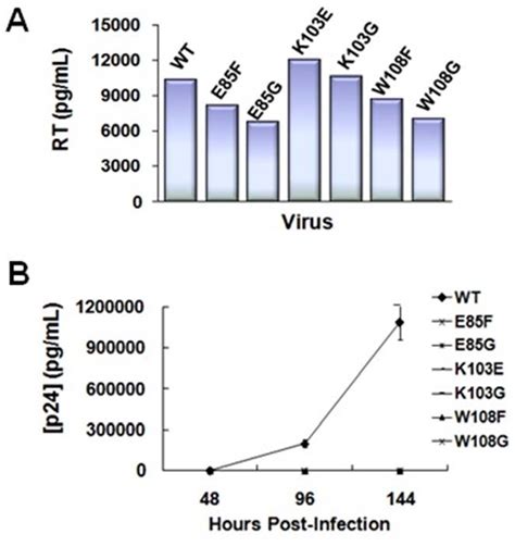 In Dimerization Interface Mutations Inhibit Hiv 1 Replication After
