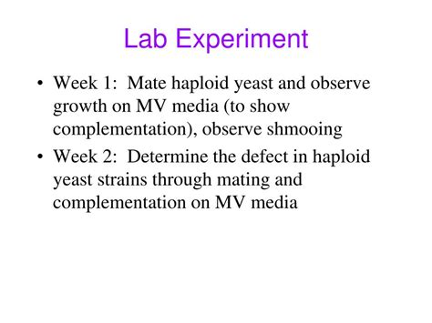 PPT Yeast Signal Transduction Lab Saccharomyces Cerevisiae PowerPoint Presentation ID 4626663