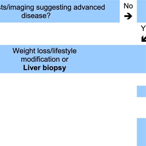 Algorithm For Liver Biopsy In Patients With Suspected Nonalcoholic Download Scientific Diagram