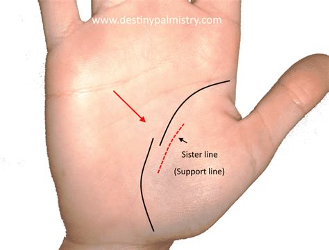 Split Line Of Life Or Marks On The Life Line Destiny Palmistry