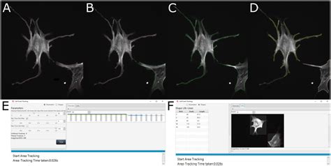 Bounding Box Feature For Cell Event Detection Example Visualization Of Download Scientific