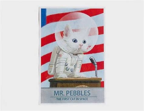 Fallout 4 Mr Pebbles The Space Cat Poster Cat Posters Space Cat
