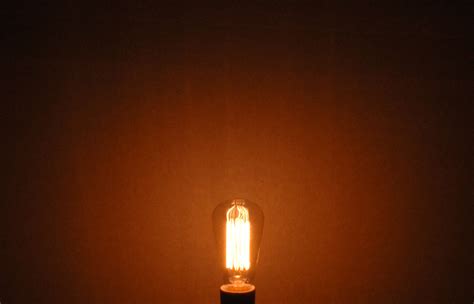 Antique Carbon Filament Lamp Globe Squirrel Cage G125 125mm Es E27