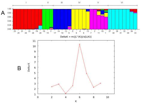 A Analysis Performed With Structure 23 Software Using An Admixture