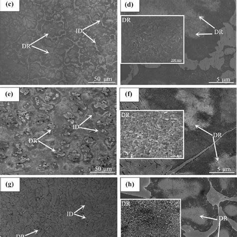 Solidification Curve Of The A356 Aluminum Alloy Download Scientific