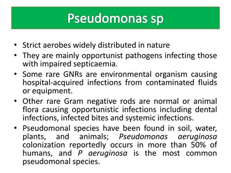 Ppt Pseudomonas Spp Powerpoint Presentation Free Download Id 3589576