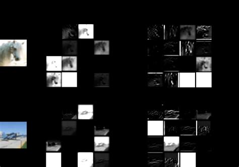 Feature Map Extracted By The First Convolution Layer Download Scientific Diagram