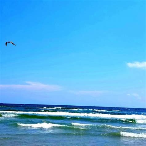 Bighem Corey Senior Bighem Corey Threads Say More Bighem Corey Senior Bighem Corey Threads Say More