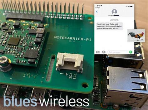 Remote Birding With Tensorflow Lite And Raspberry Pi