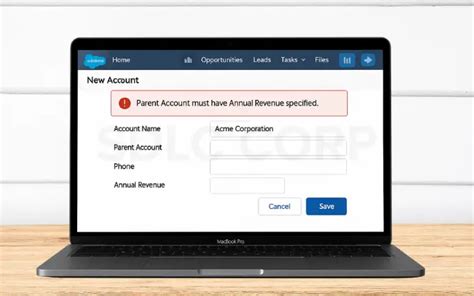 Salesforce Validation Rules Examples You Can Copy Sdlc Corp