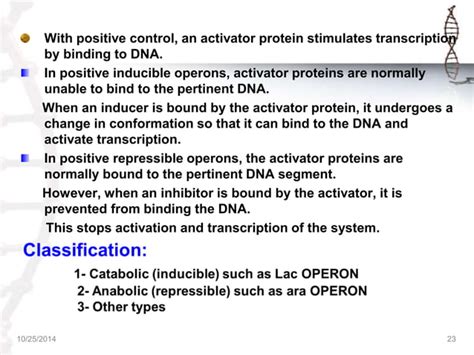 Regulation Of Gene Expression In Prokaryotes And Eukaryotes Pptx