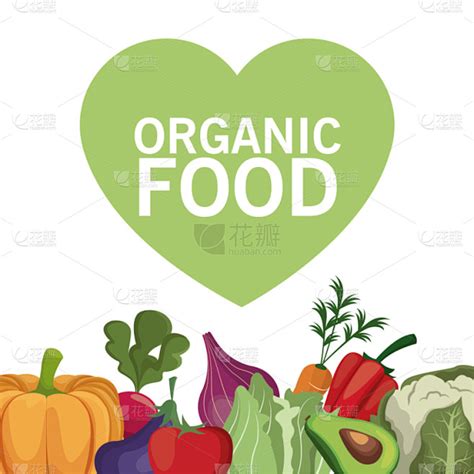 蔬菜 有机食品 健康食物 农业 素食 菜单 清新 食品 朝鲜蓟 烹调