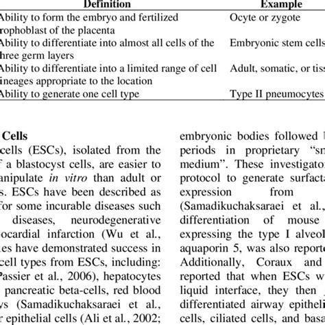 Classification Of Stem Cells According To Their Developmental