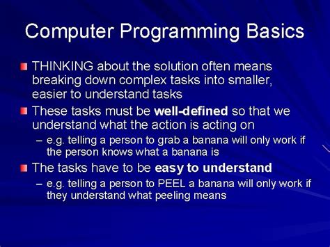 Computer Programming Basics Computer Programming Basics Computer Programs